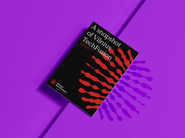 Vilnius TechFusion - Technologijų ekosistemos prekės ženklas